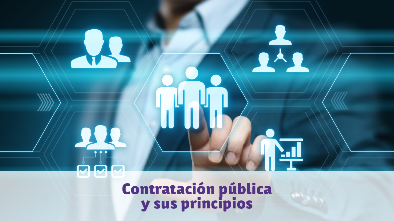 Claves para entender la Contratación Publica Electrónica , Webinar