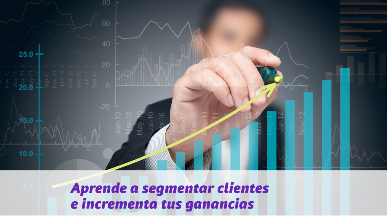 Aprende a segmentar clientes e incrementa tus ganancias, Curso ...